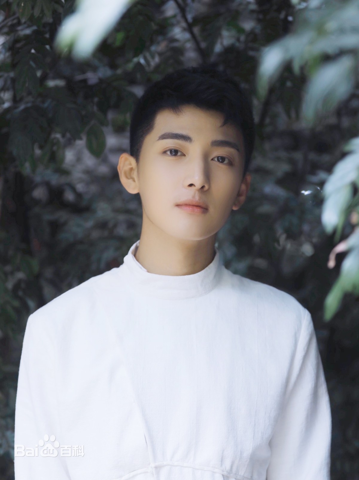 Liu Yuhan – 刘昱晗 (1995) – Fiori di pesco – drama